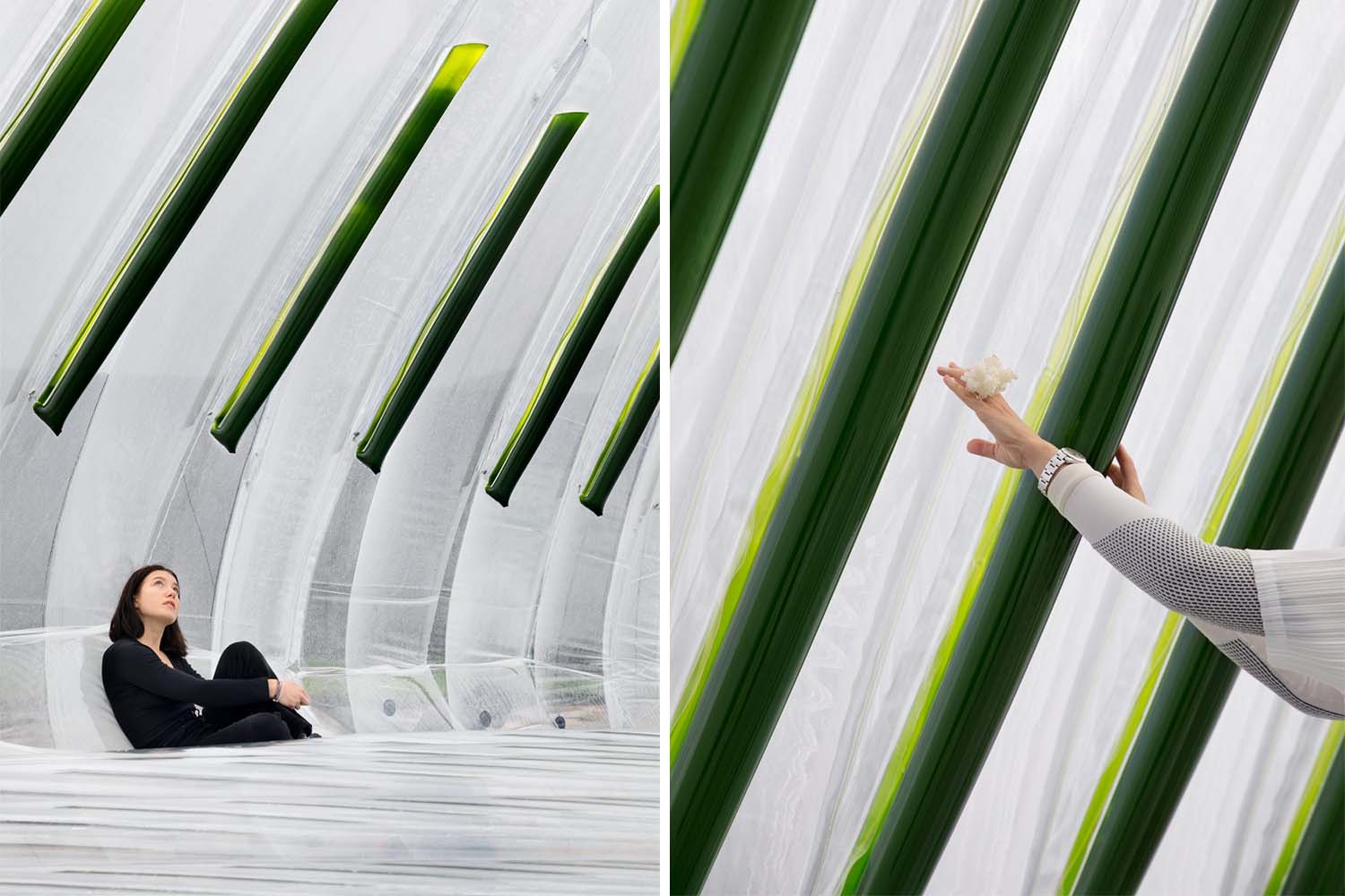 AirBubble air-purifying eco-machine, the bio-digital, algae-powered eco ...