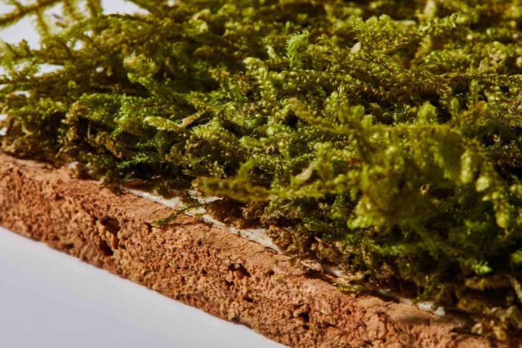 Between Nature and Technology: Three Material Solutions for Healthy ...